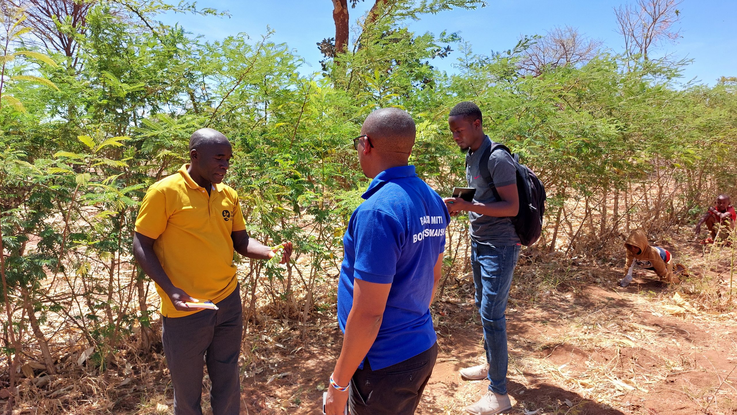 Visiting Forest gardens in Singida in Oct 2022 hosted by Trees for the ...