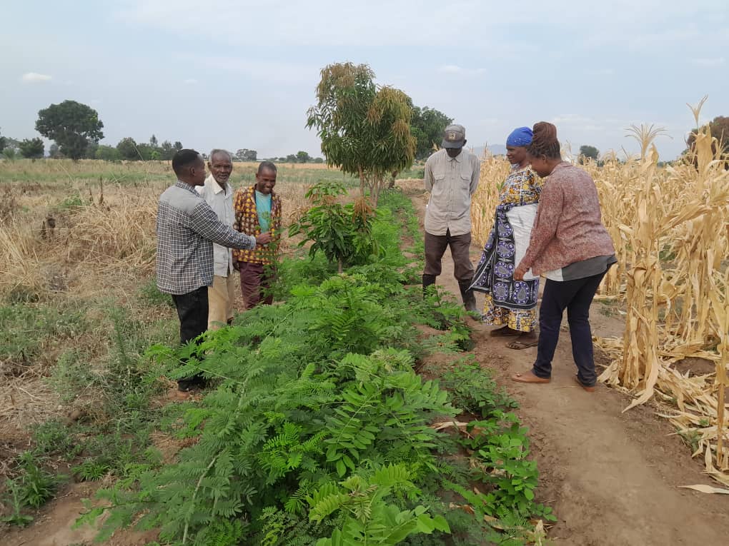 Forest Garden Farming for People and the Planet in Mwanga 2023-2026 - Liana